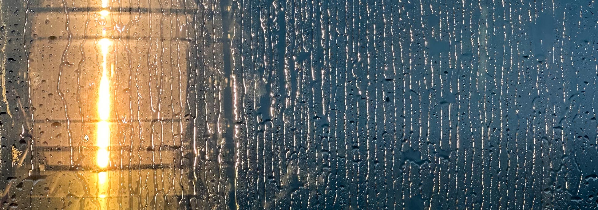 Through the Rain – Moments in Maine Blog — Moments in Maine